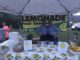 How To start A Lemonade Stand - Everything you need to know and prepare ...